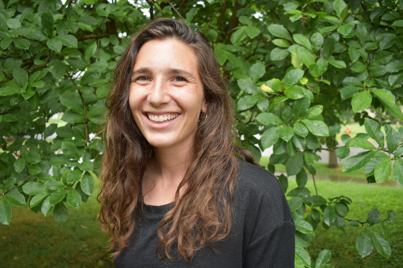 2020 Cohort of Virtual Transatlantic Media Fellows | Heinrich Böll ...