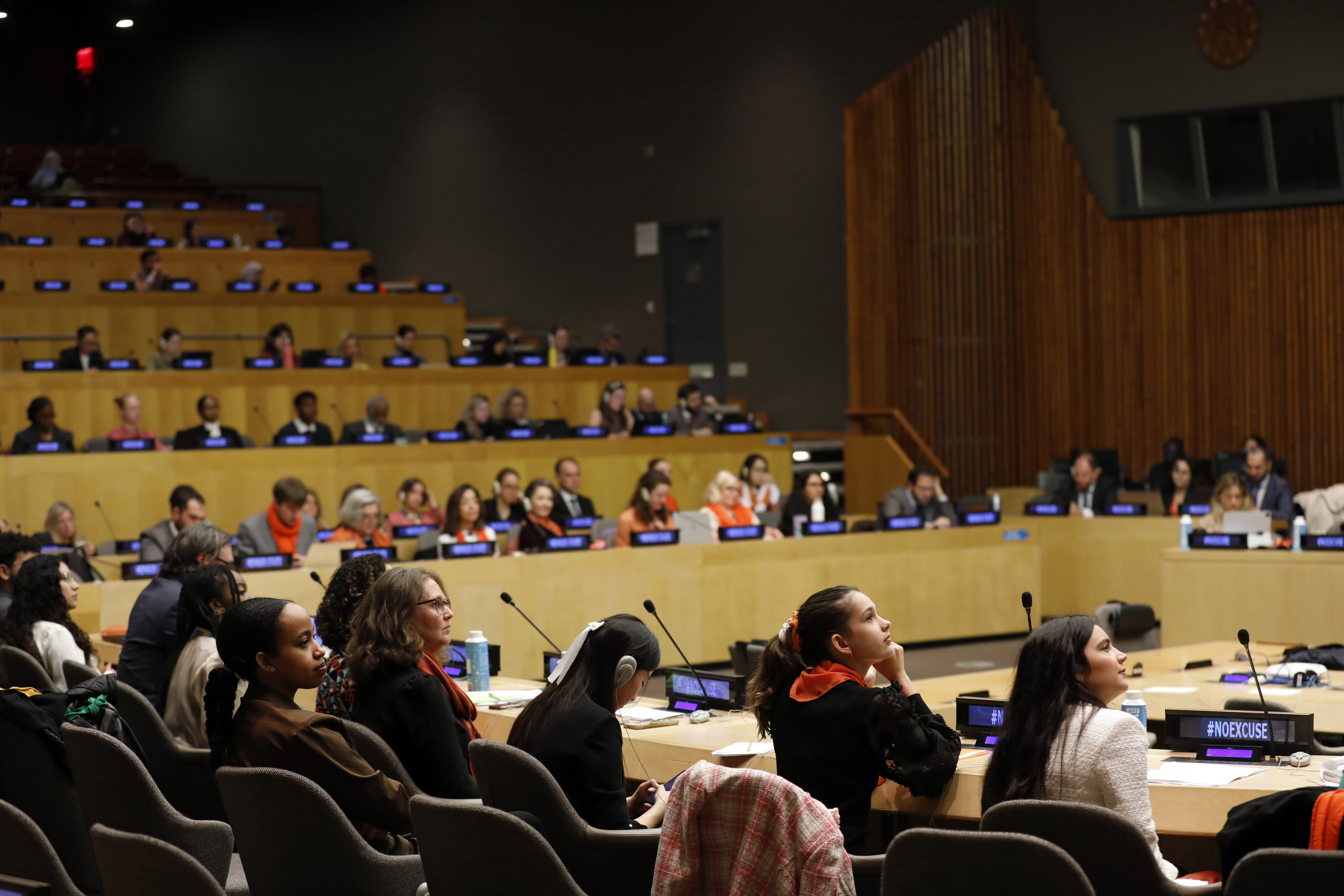Feminist Foreign and Development Policy Fellowship 2024: CSW 68 ...
