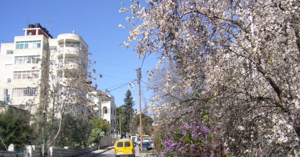 Office Ramallah - Palestine, Jordan | Heinrich Böll Stiftung ...
