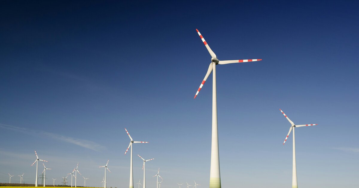New German coalition puts climate protection on back burner | Heinrich ...