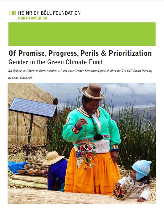 Of Promise, Progress, Perils and Prioritization | Heinrich Böll ...