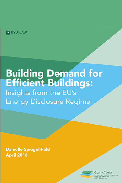 Building Demand for Efficient Buildings: Insights from the EU’s Energy ...