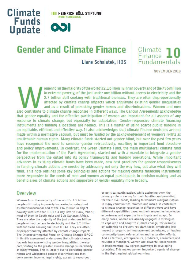 Climate Finance Fundamentals 10: Gender and Climate Finance | Heinrich ...